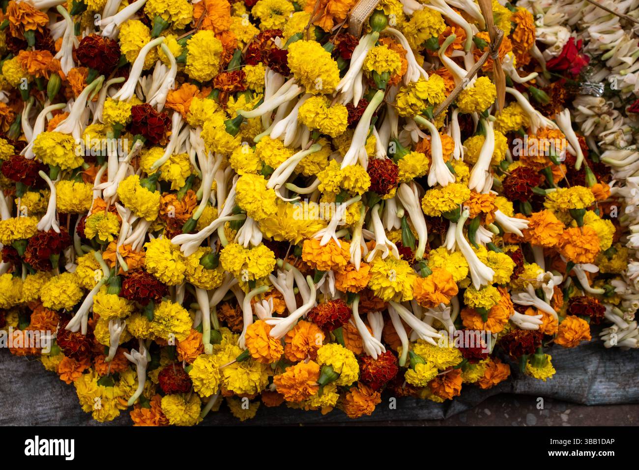 close up of flowers on sale as sacred offerings to deities at the ...