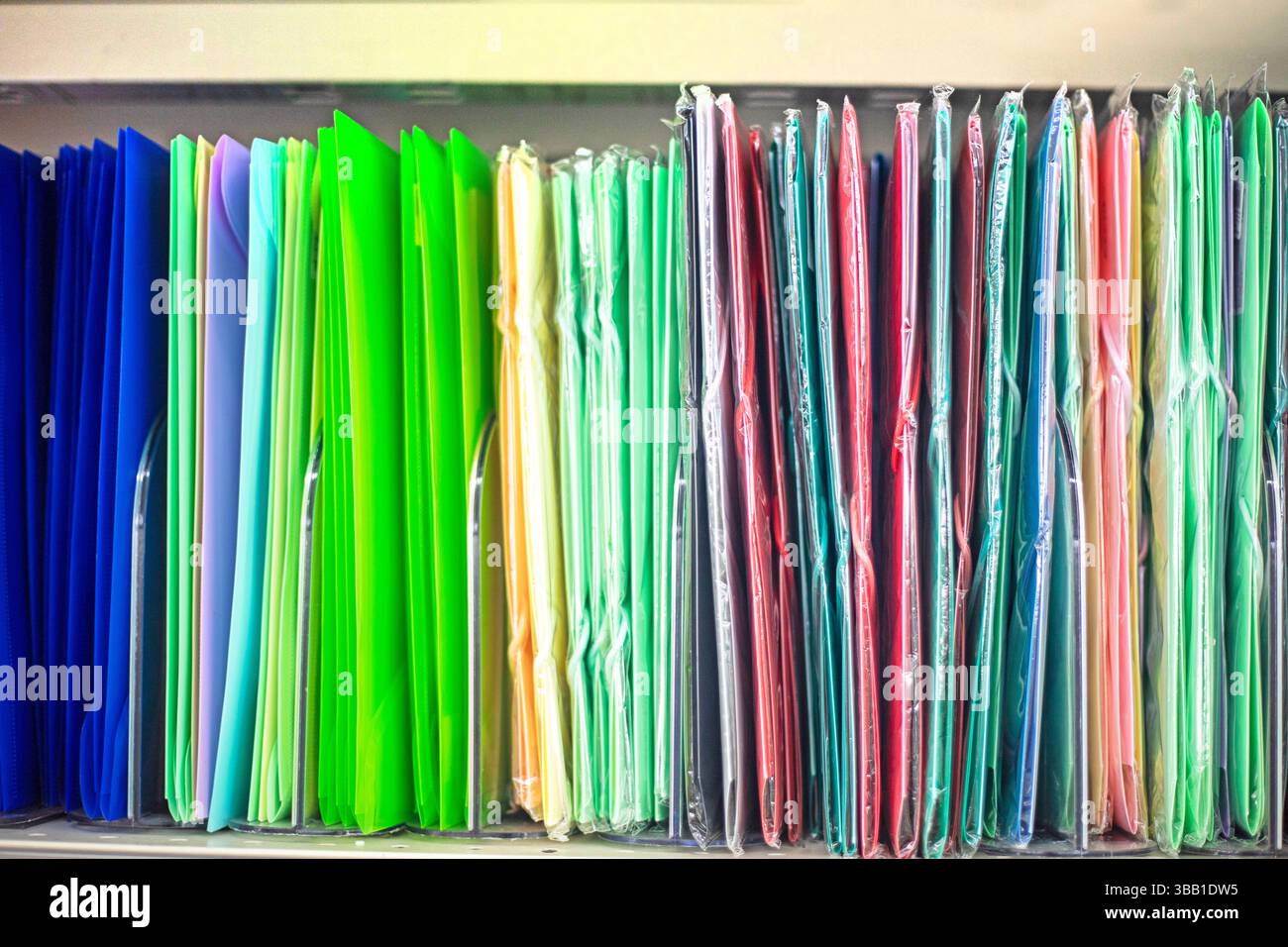 plastic folders for storing notebooks and documents. Office supplies ...