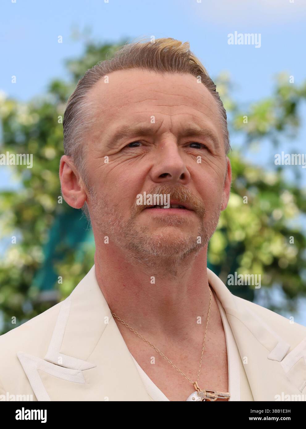 Cannes, France. 14th May, 2025. Simon Pegg at the Mission: Impossible ...