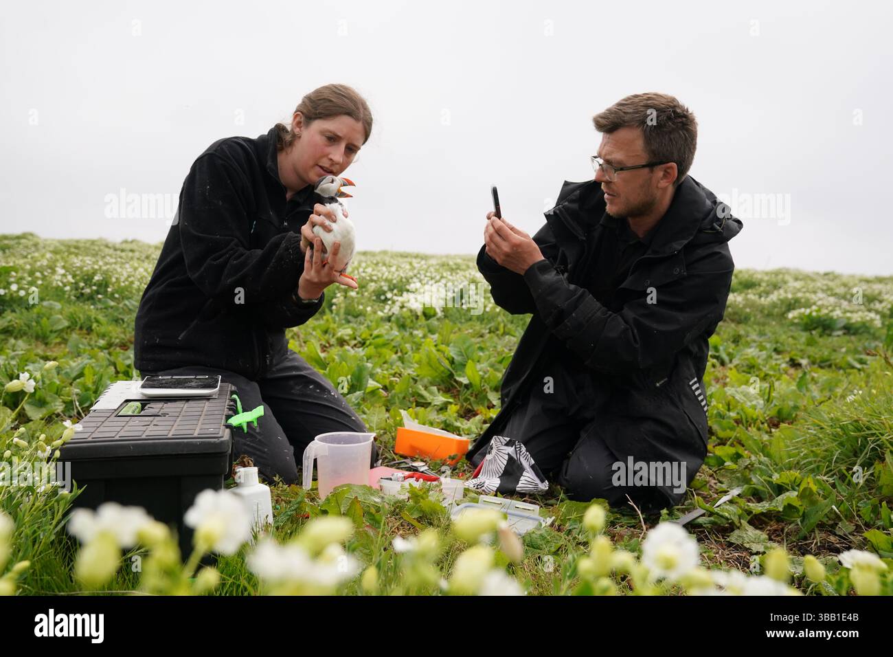 National Trust Rangers Heather Wilson (left) and Tom Hendry photograph ...