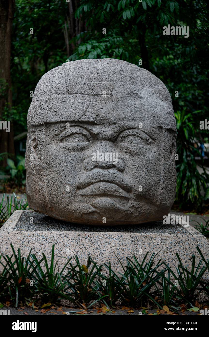 Olmec stone statue of a giant head, La Venta, Villahermosa, Mexico ...
