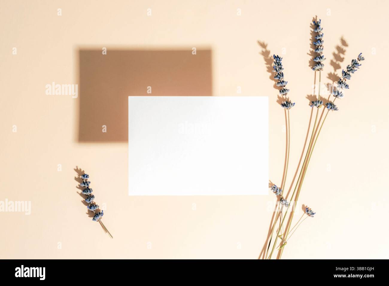 White paper with lavender casting sharp shadow on beige background. Top ...