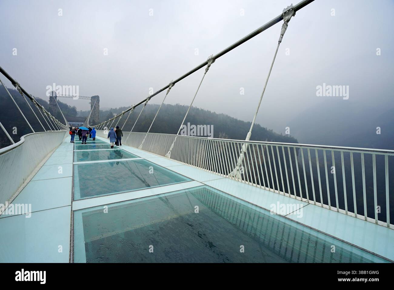Avatar Grand Canyon Glass Bridge, Zhangjiajie, Hunan, China Stock Photo ...