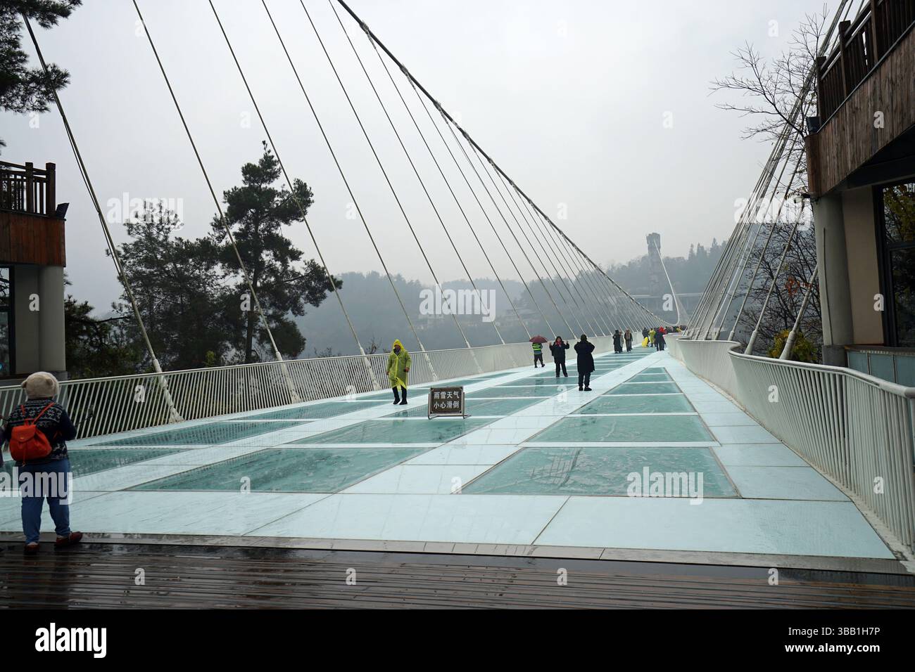 Avatar Grand Canyon Glass Bridge, Zhangjiajie, Hunan, China Stock Photo ...