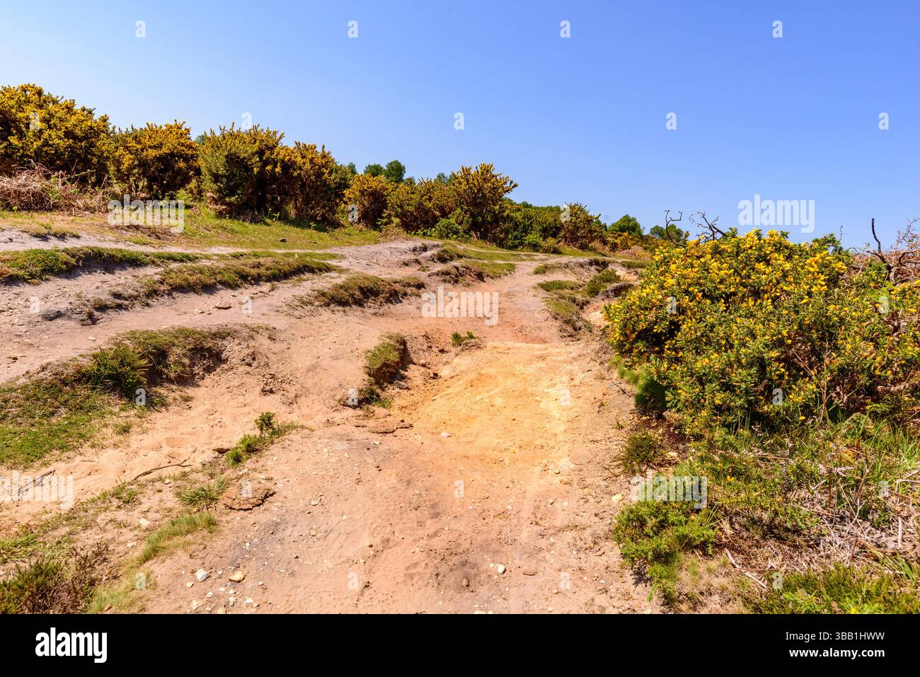 Godshill, New Forest, Hampshire, England, UK, 14th May 2025, Weather ...