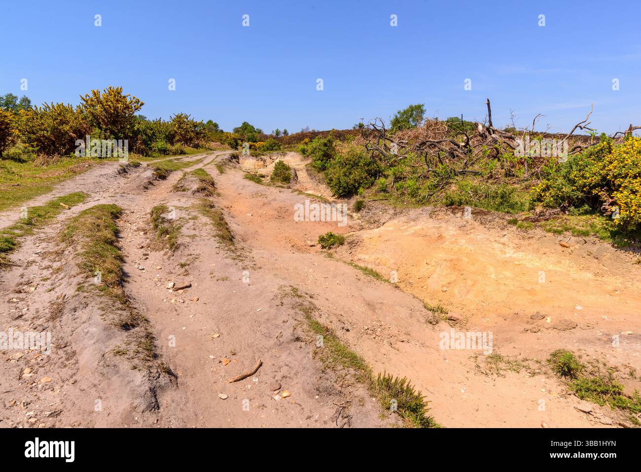 Godshill, New Forest, Hampshire, England, UK, 14th May 2025, Weather ...