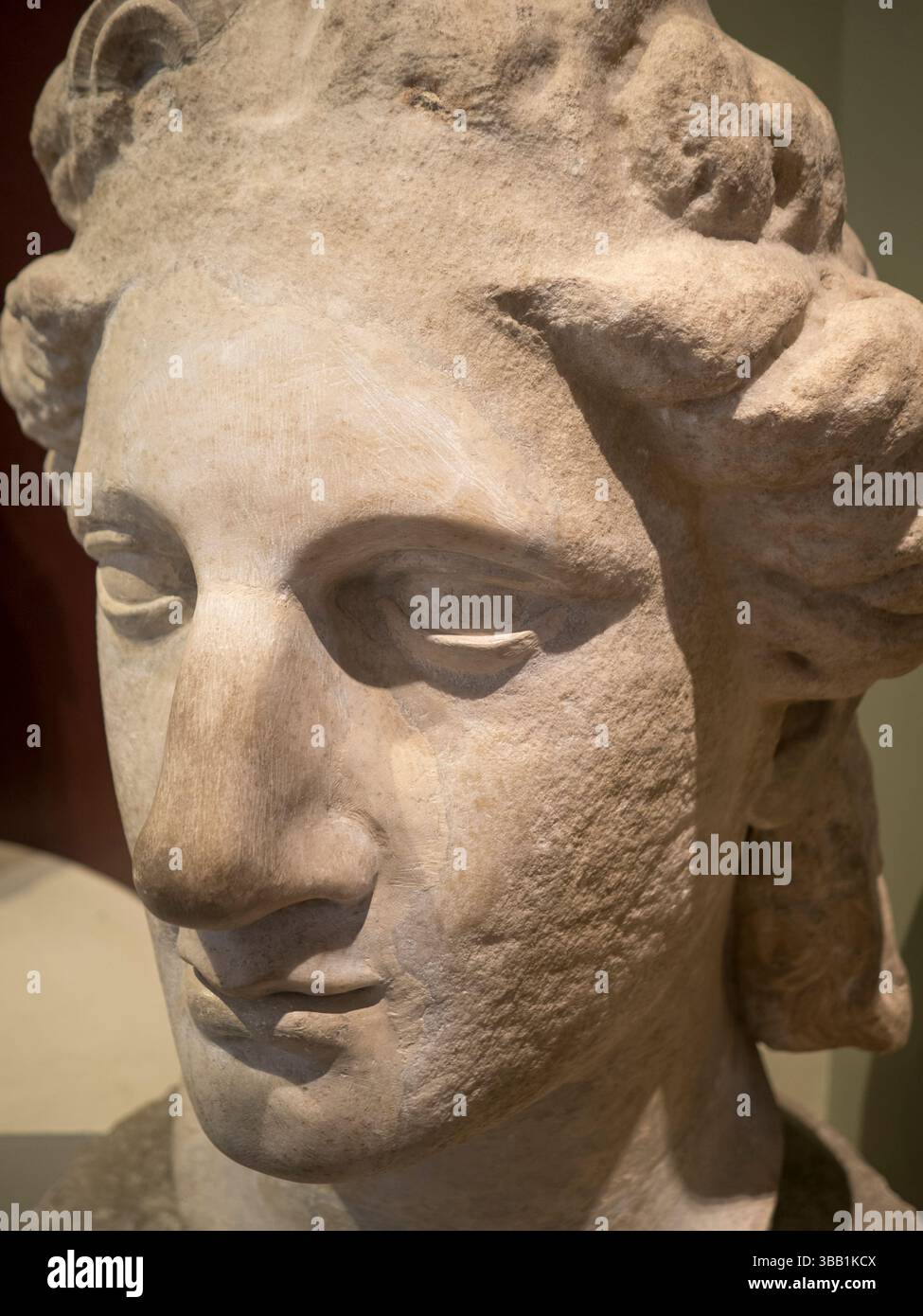 Head, Statue, Greek and Roman Sculpture Gallery, Ashmolean Museum ...