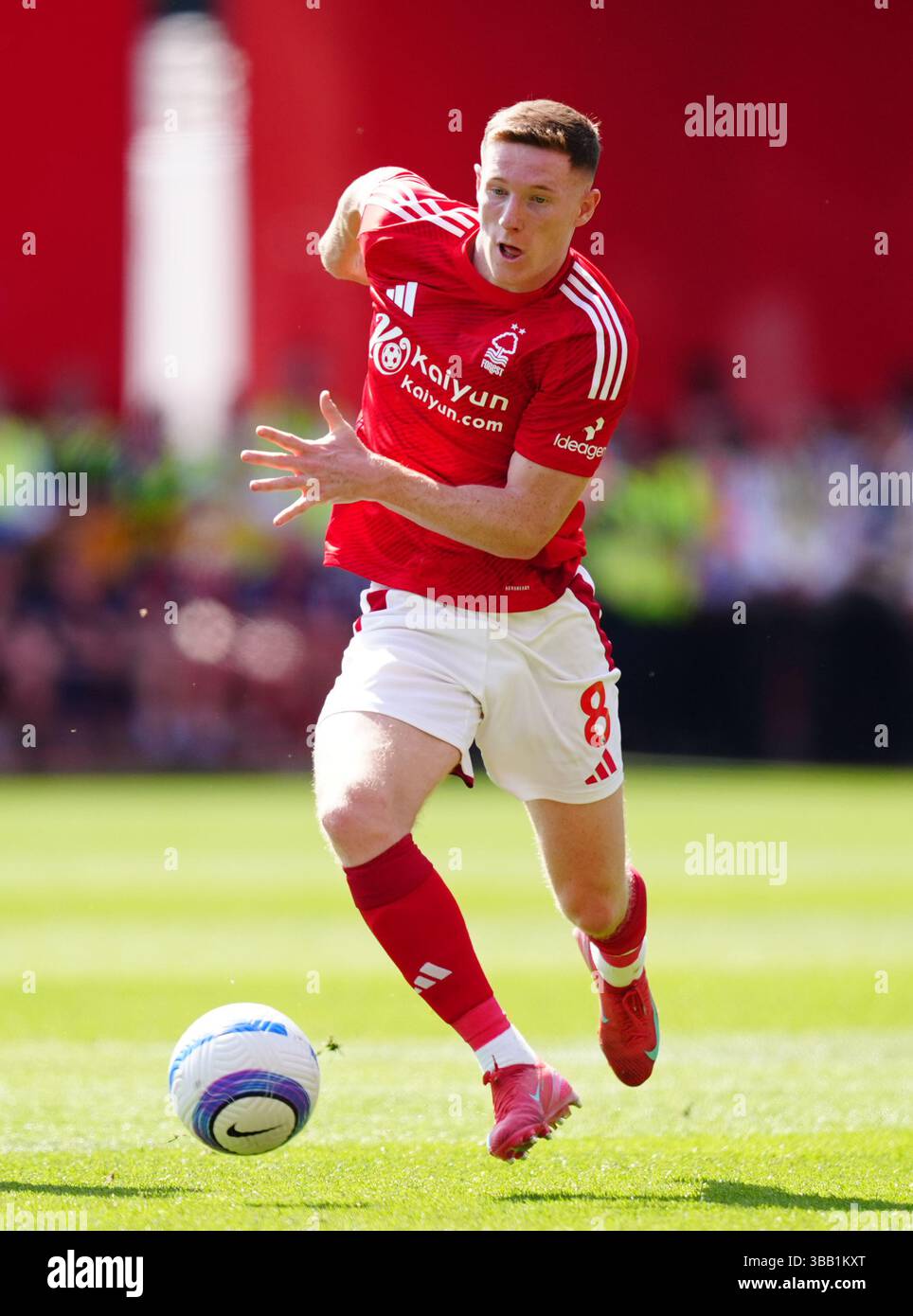 Nottingham Forest's Elliot Anderson during the Premier League match at ...