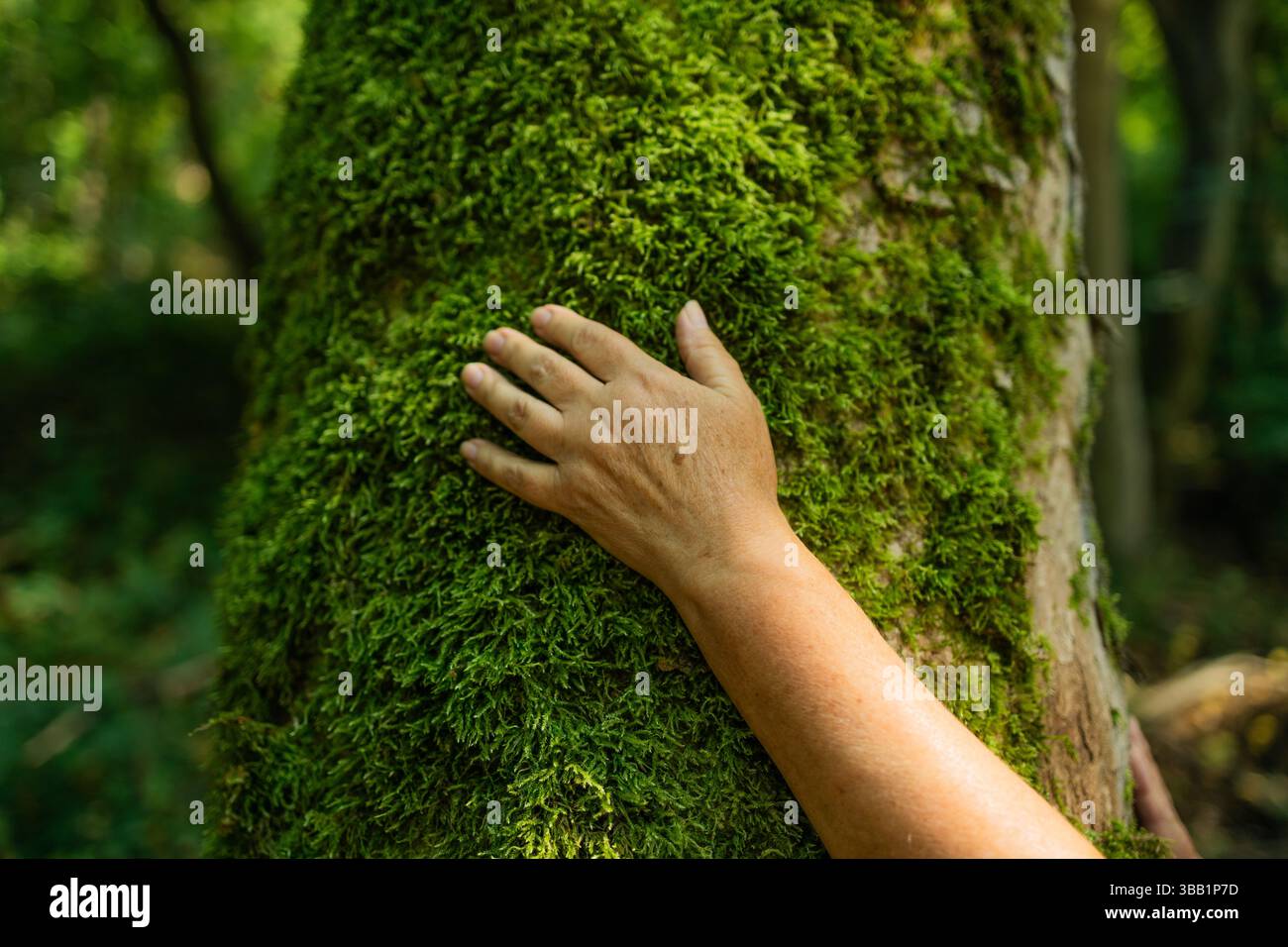 Earth touching hand gesture hi-res stock photography and images - Alamy