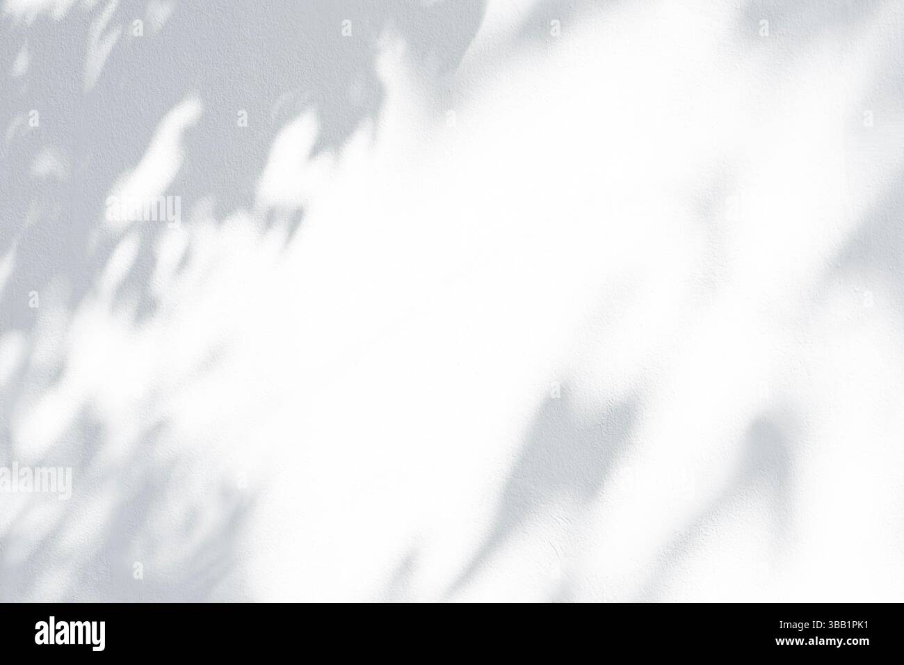 Natural shadow overlay on white colored grunge wall concrete texture ...