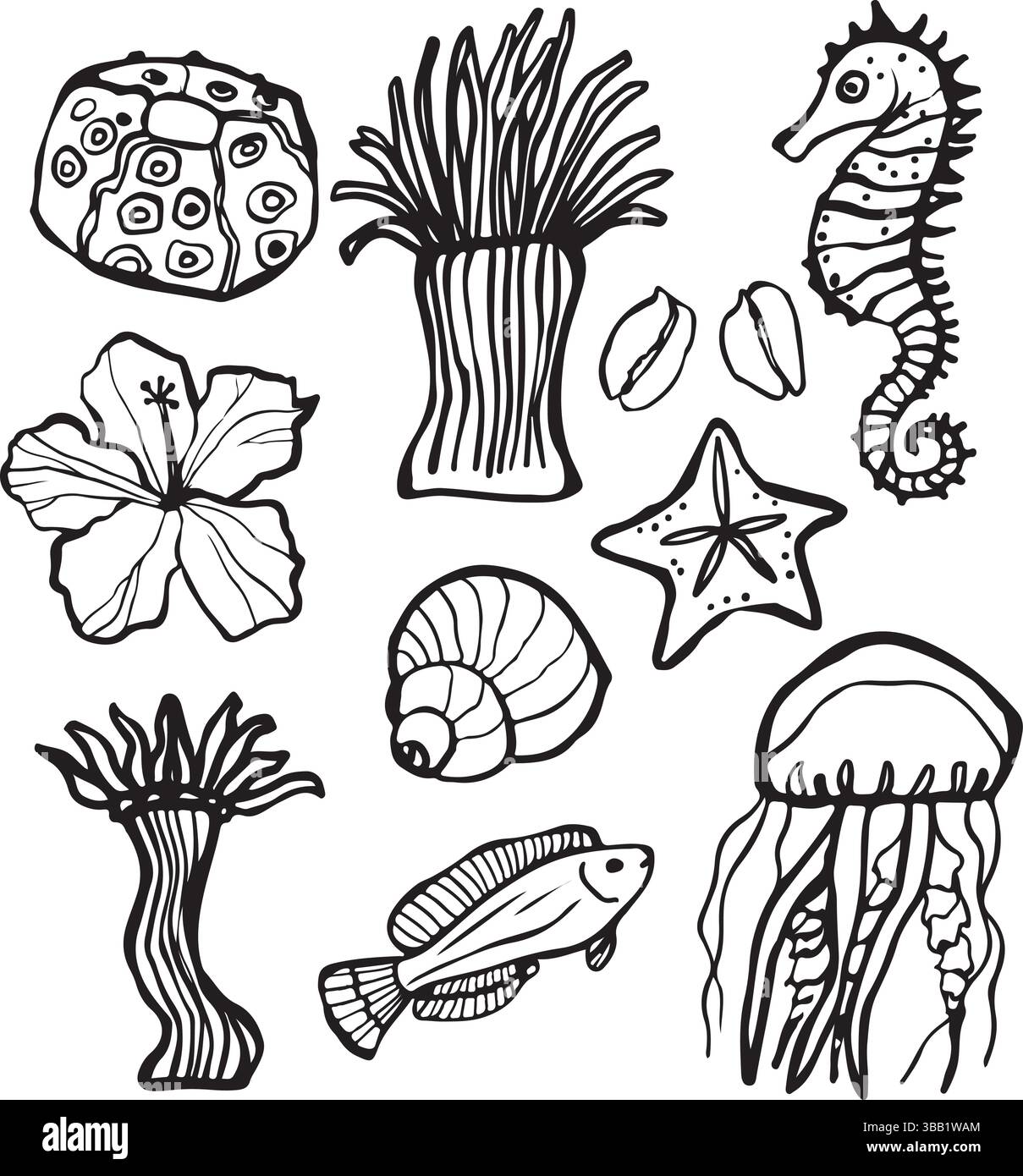 Vector doodle composition on a marine theme. Shells, seahorse, hydras ...