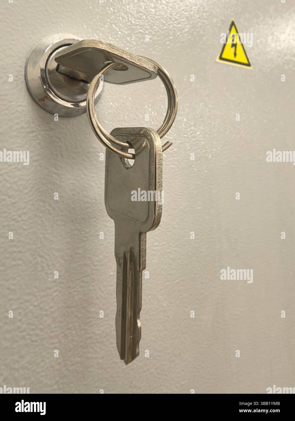 A close-up view of a metallic key inserted into a lock, accompanied by ...