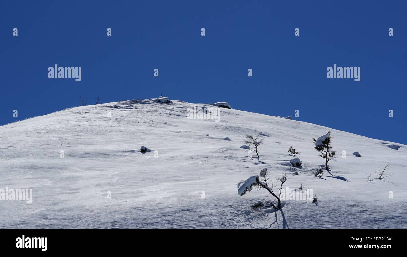 Hakuba Goryu Snow Resort, Nagano, Japan Stock Photo - Alamy