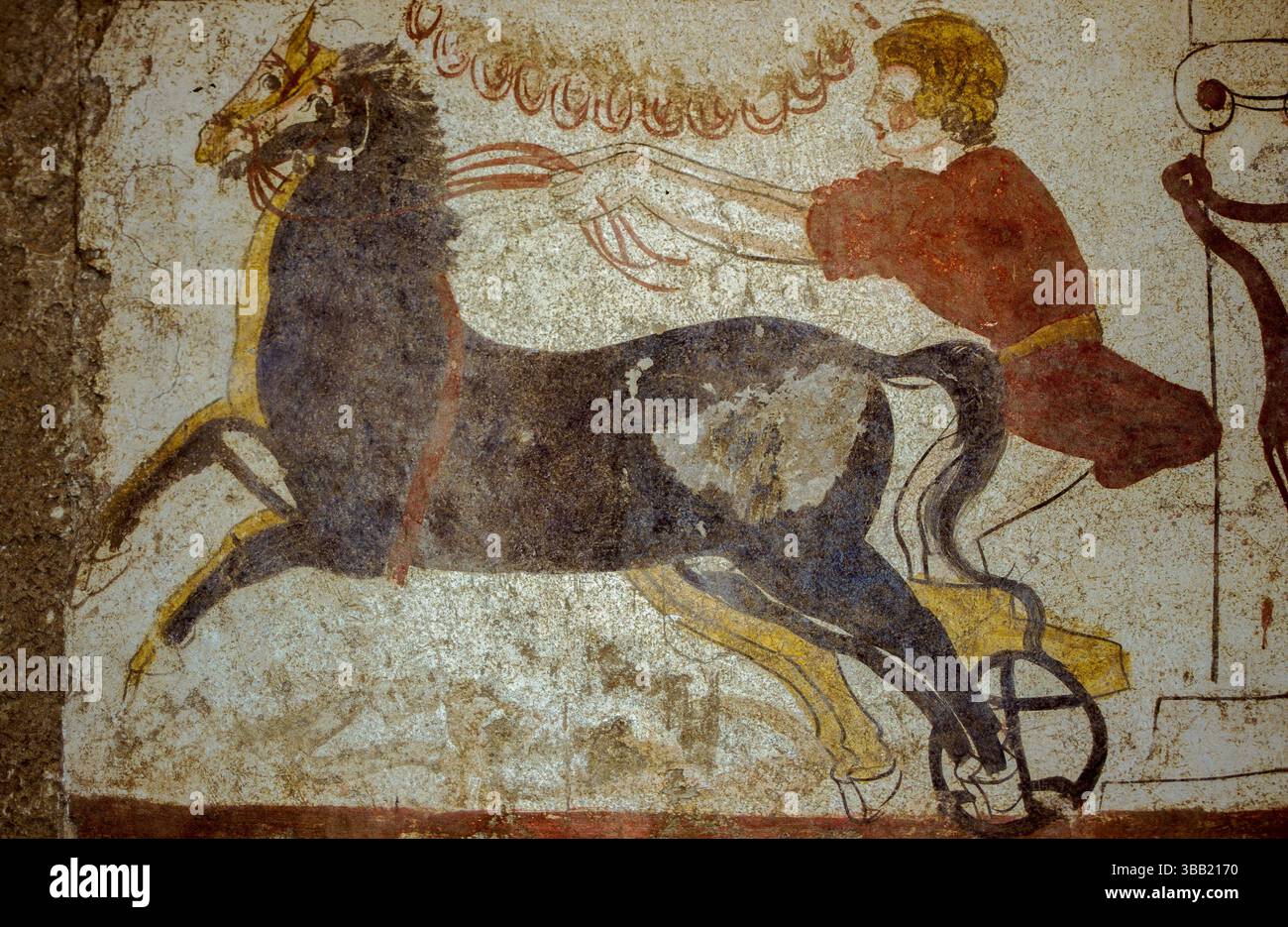 Galloping horses pull victorious helmeted racer driving two-wheeled ...