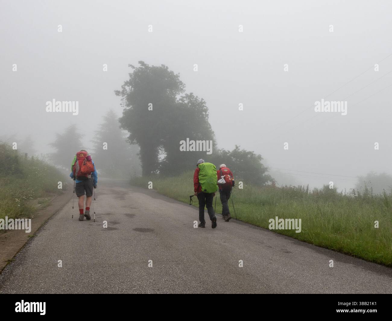 Three pilgrims on the Camino de Santiago, equipped with backpacks and ...