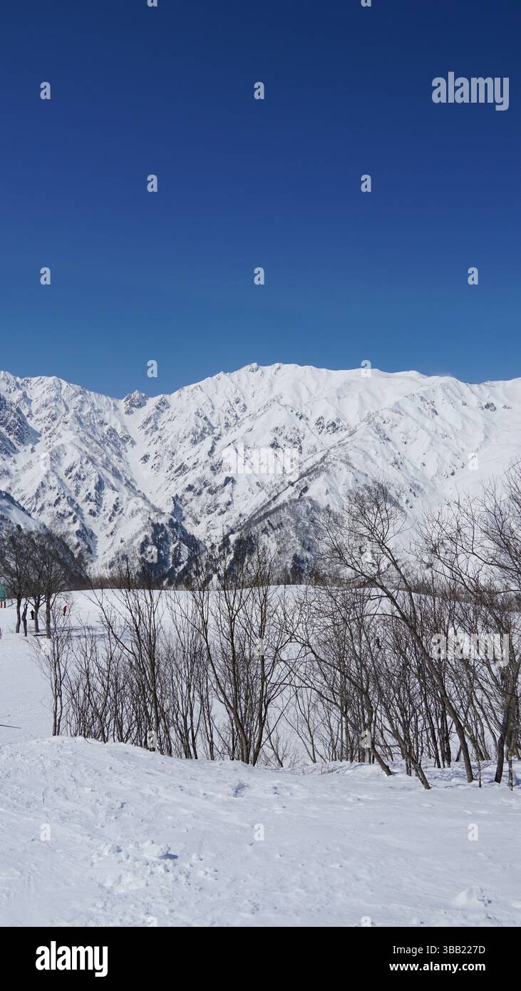 Hakuba Goryu Snow Resort, Nagano, Japan Stock Photo - Alamy