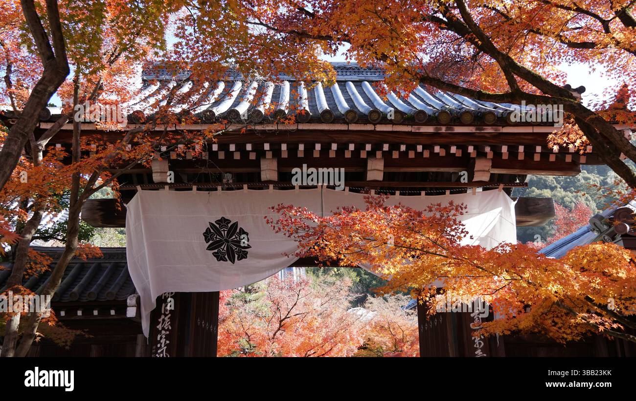 Autumn in Kyoto: Scenic Shrines and Temples for Fall Foliage Tourism ...