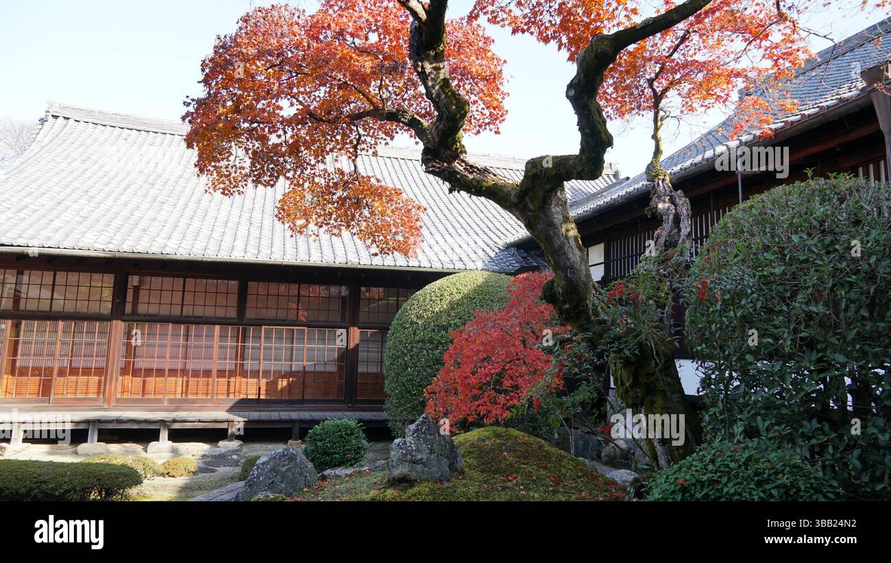 Autumn in Kyoto: Scenic Shrines and Temples for Fall Foliage Tourism ...