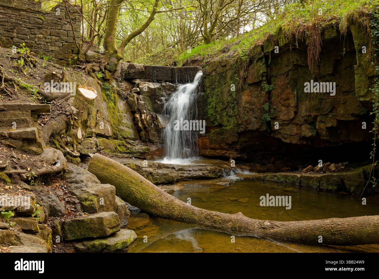 Deep wooded ravine hi-res stock photography and images - Alamy