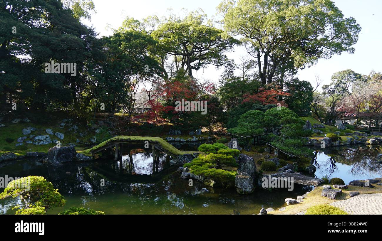 Autumn in Kyoto: Scenic Shrines and Temples for Fall Foliage Tourism ...