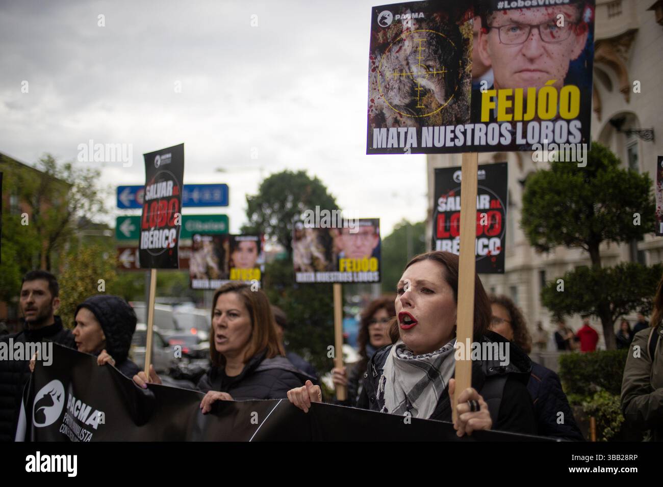 Madrid, Spain. 14th May, 2025. The animal rights party PACMA has called ...