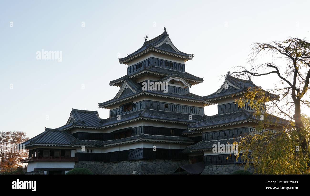 Matsumoto Castle: The Black Crow of Japan Stock Photo - Alamy