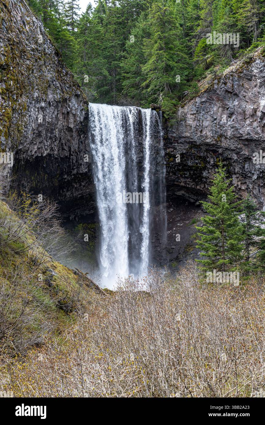 Tamanawas Falls at Mount Hood in Oregon Stock Photo - Alamy