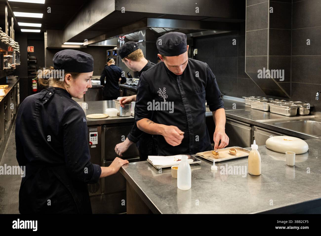 ZWOLLE - Cooks at work in the kitchen of the Librije. The restaurant ...