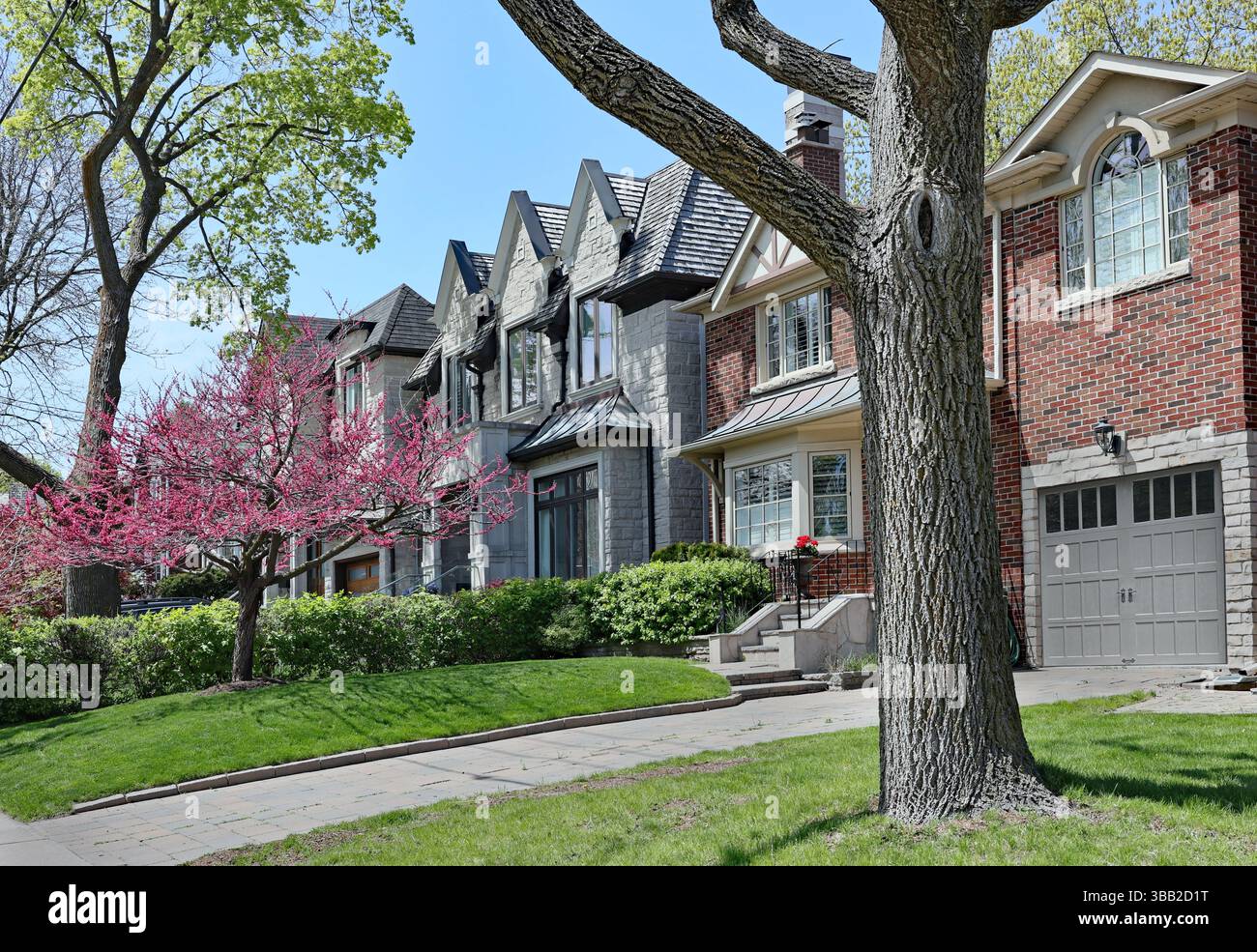 Suburban street with row of traditional detached two story houses Stock ...