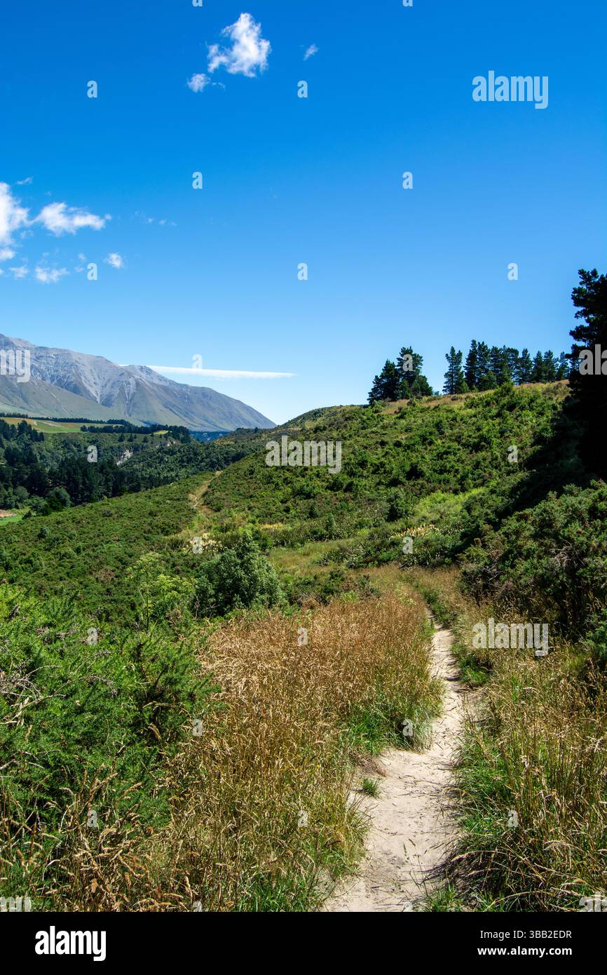 A scenic hiking trail winding through lush green hills under a bright ...