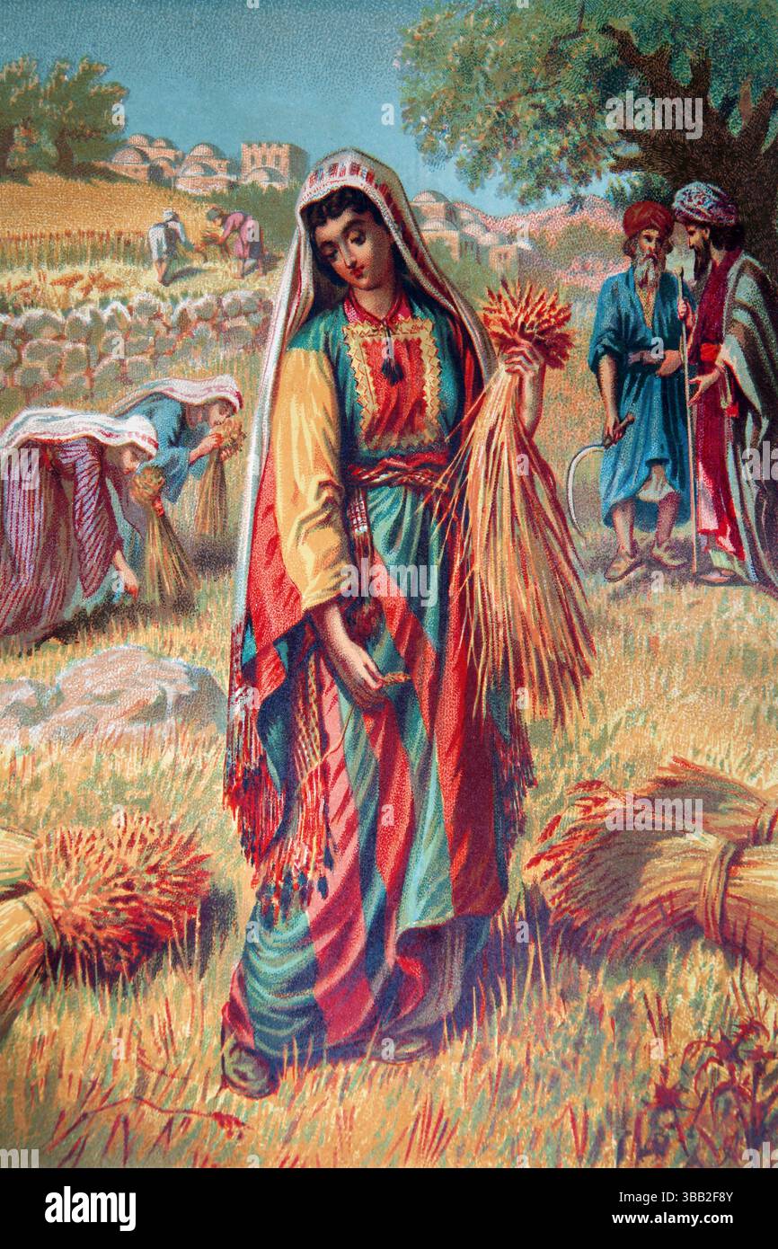 Illustration of Ruth in the Corn-Field (Ruth) from Antique 19th Century ...