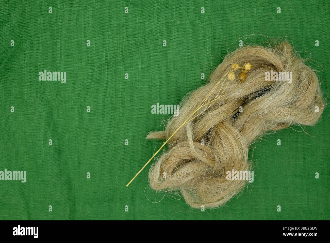 Linen fabric of green color, flax seed pods, and bundles of flax fibers ...