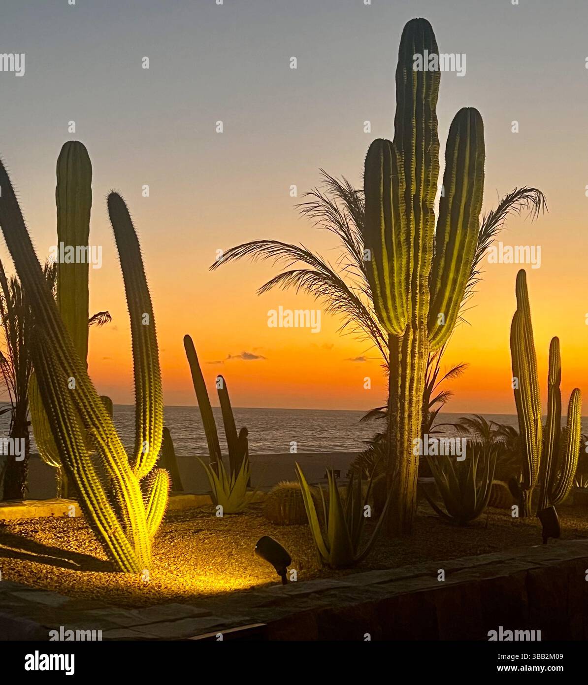 Warm screensaver hi-res stock photography and images - Alamy
