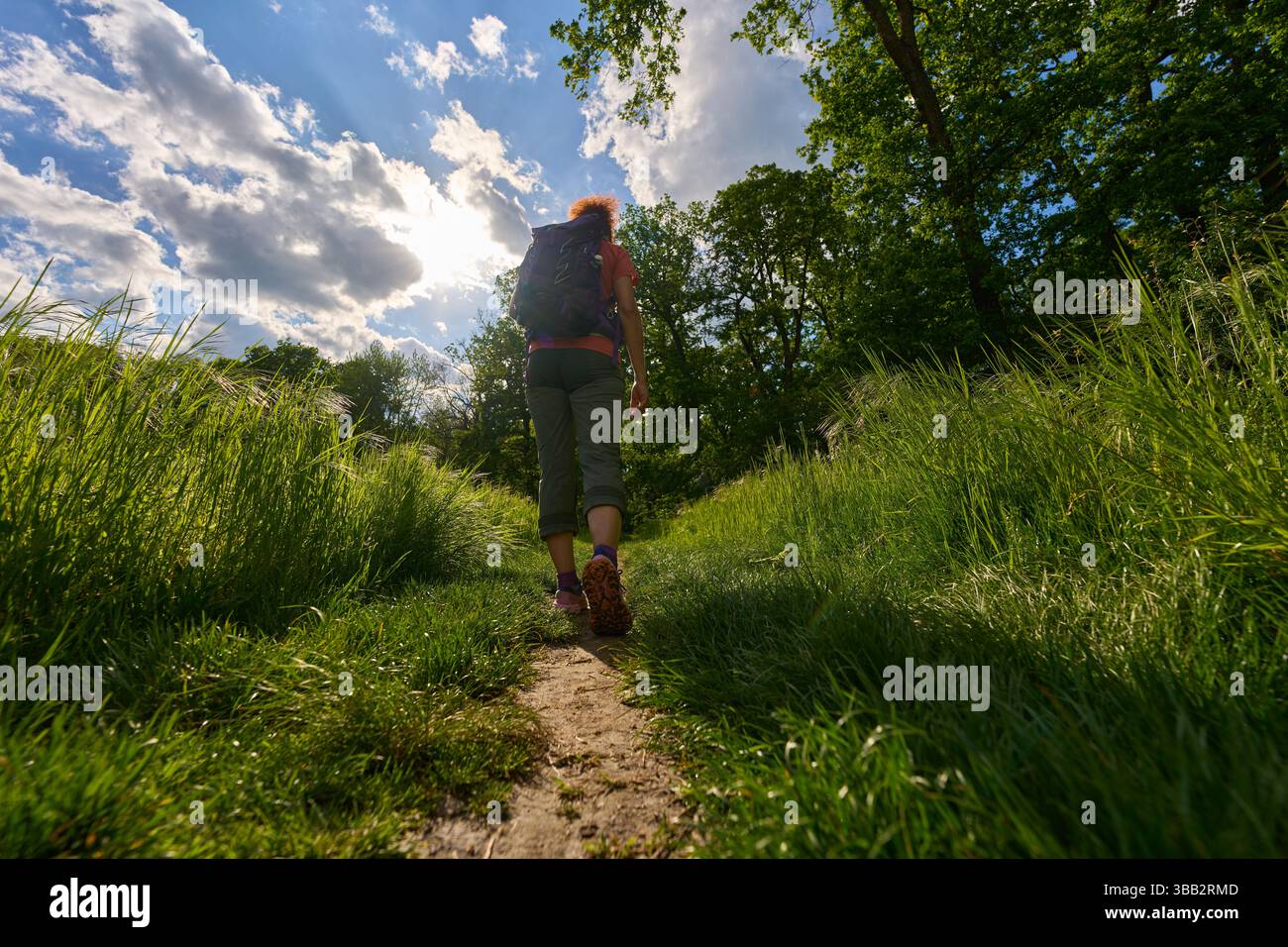Woman hiking along grassy trail under sunny sky, photographed from low ...
