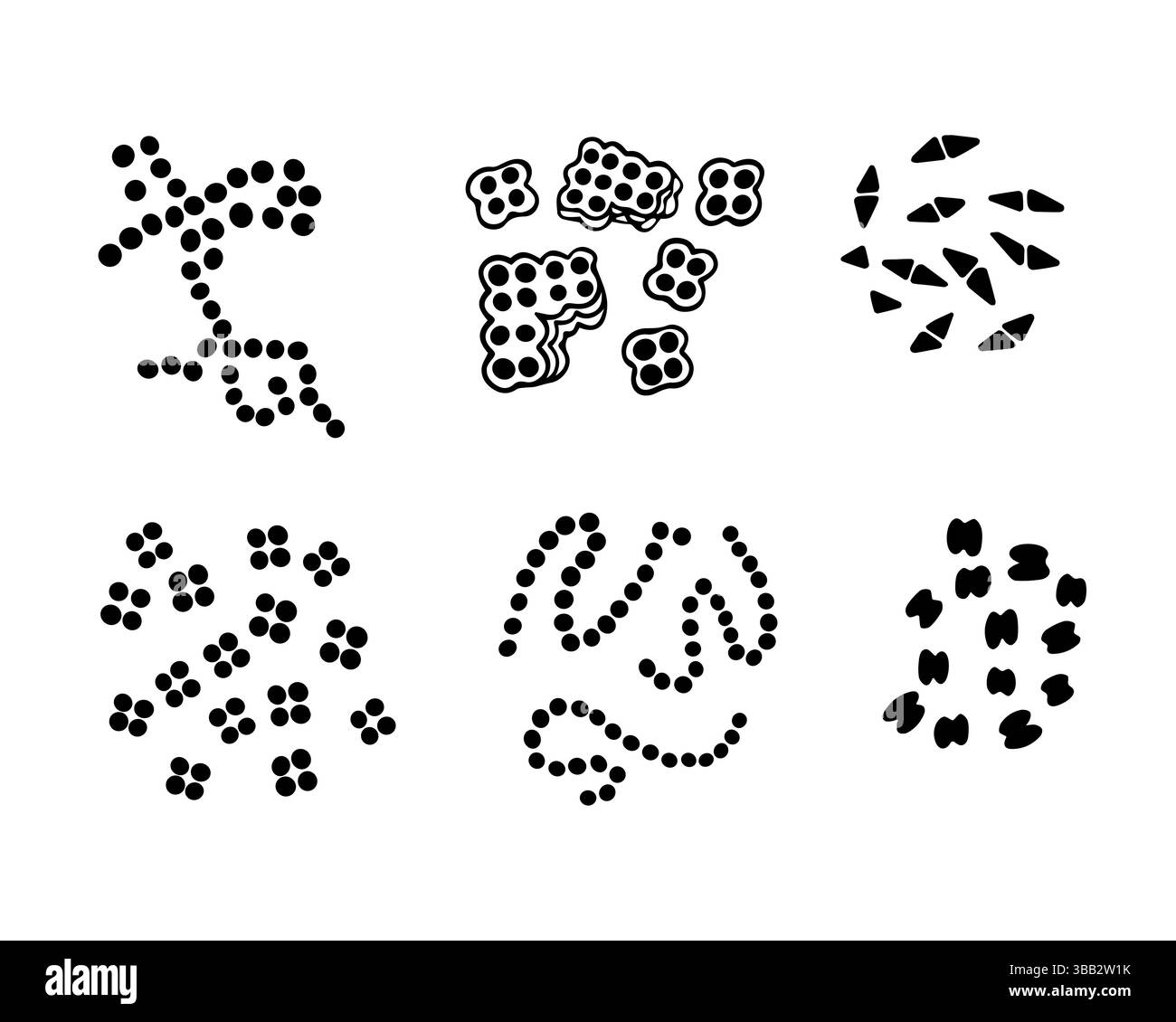 Vector isolated illustration of a set of cocci bacteria Stock Vector ...