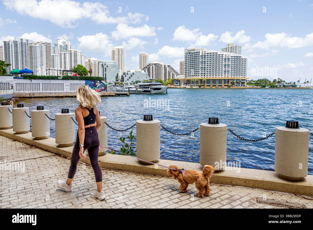 Miami Florida,Brickell Financial District,Biscayne Bay waterfront,River ...