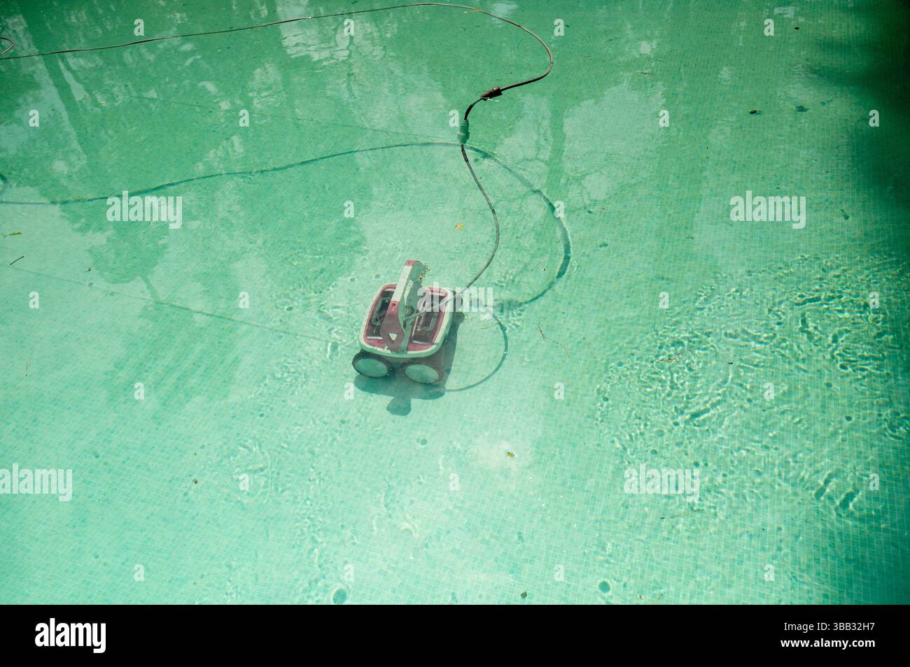 Automatic robotic pool vacuum cleaner under water cleaning the floor ...