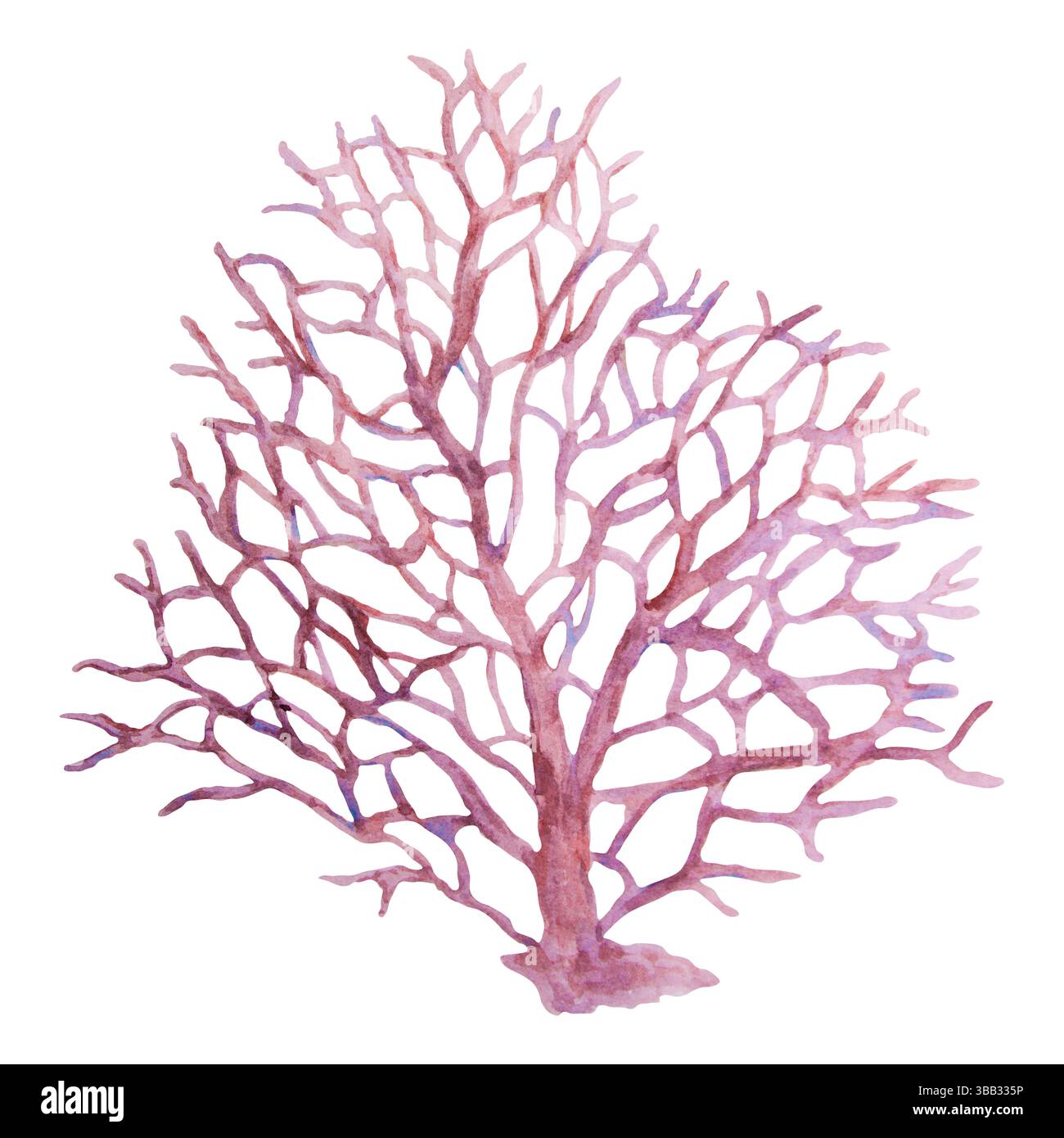 Structure coral reef soft Cut Out Stock Images & Pictures - Alamy