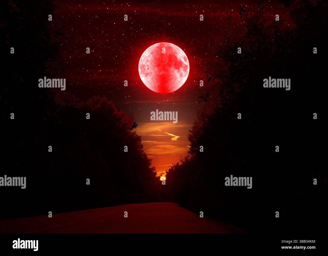 Eclipse - Bloody Moon in the night sky and a road in the forest Stock ...