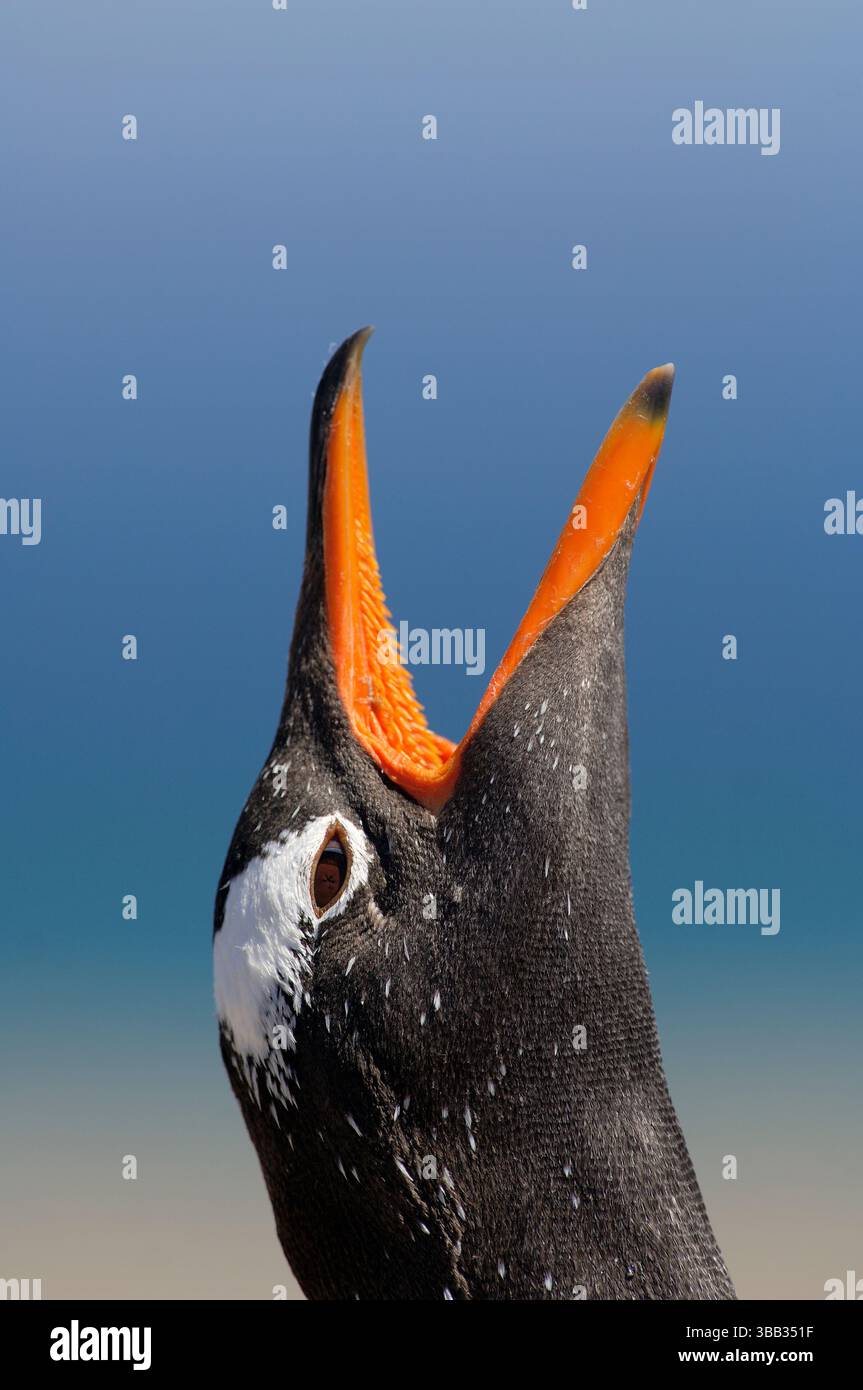 Bri triangular hi-res stock photography and images - Alamy