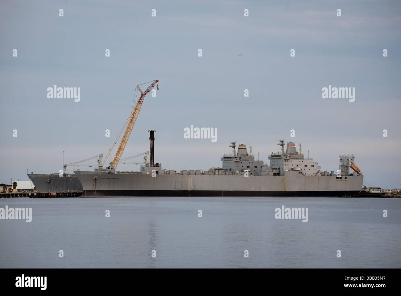 Gray SS Cape Inscription and SS Cape Isabel docked at the Port of Long ...