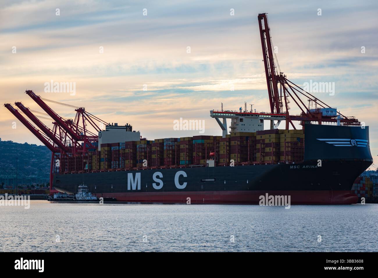 The MSC Arina, docked in the Port of Los Angeles, California. The Gulsun class of ultra large ...