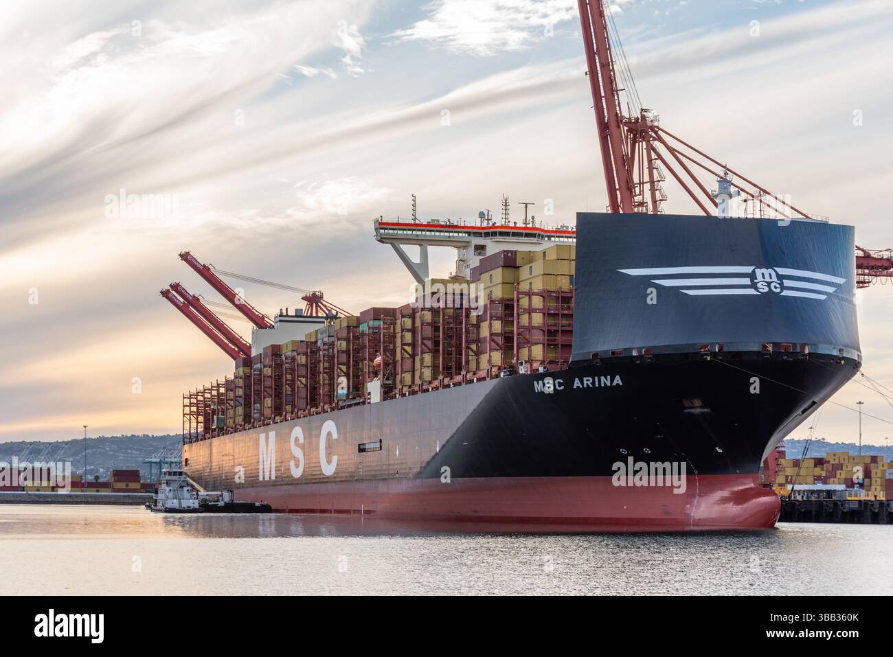 The MSC Arina, docked in the Port of Los Angeles, California. The ...