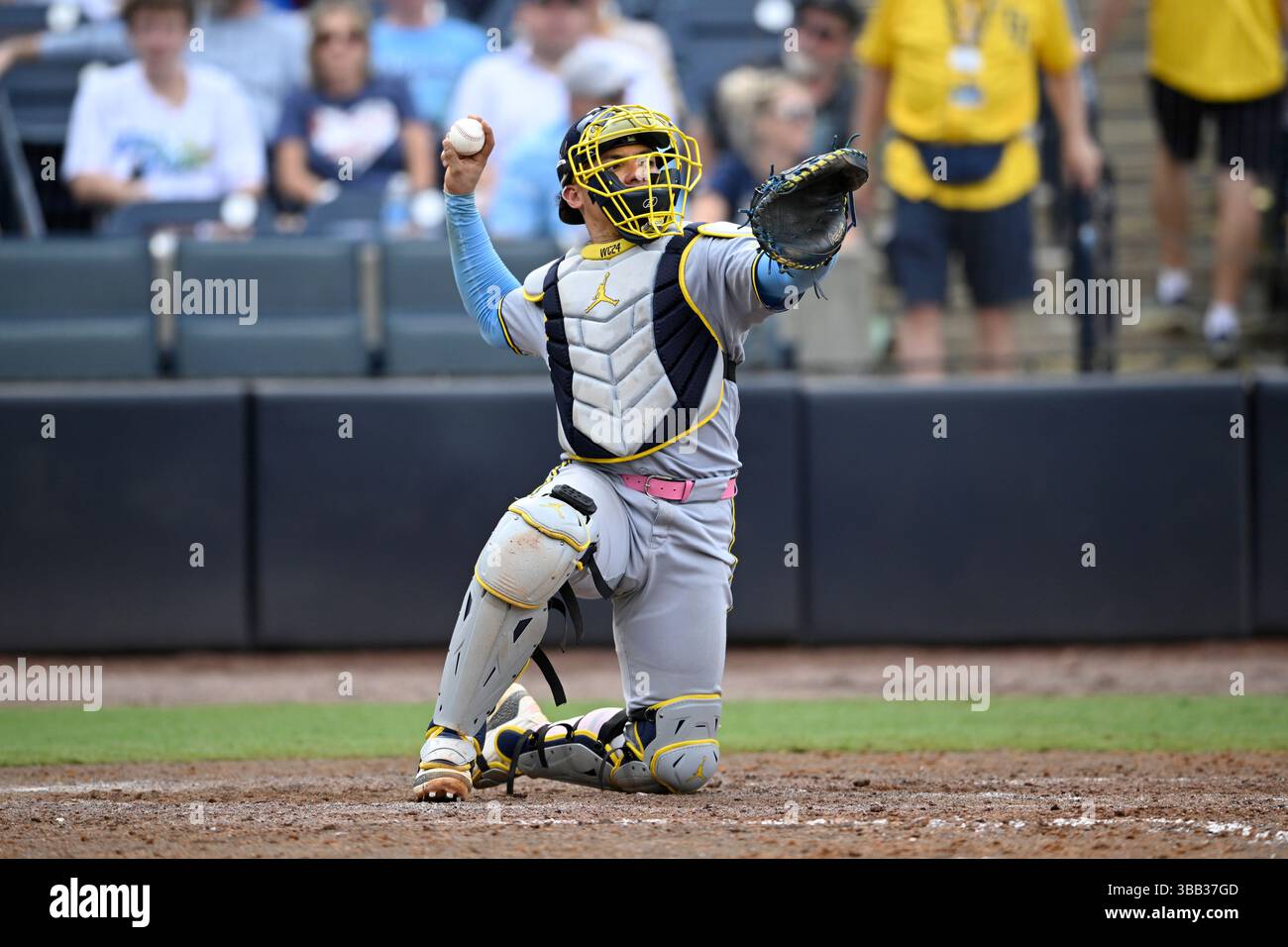 Milwaukee Brewers catcher William Contreras throws from home plate ...
