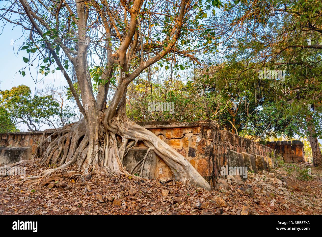 Sprawling dramatically above ground, across ancient walls and base of ...