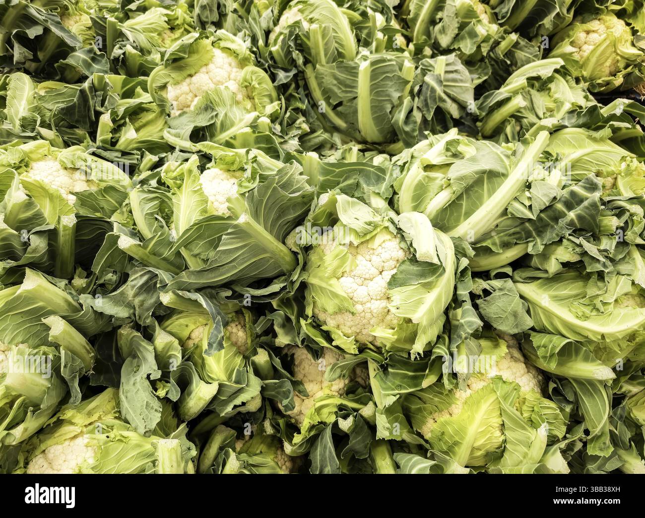 Cauliflower in the food market, fruits and vegetables, nutrition Stock ...