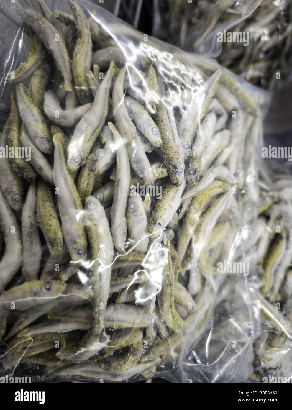 Small frozen fish in store, fried battered fish Stock Photo - Alamy