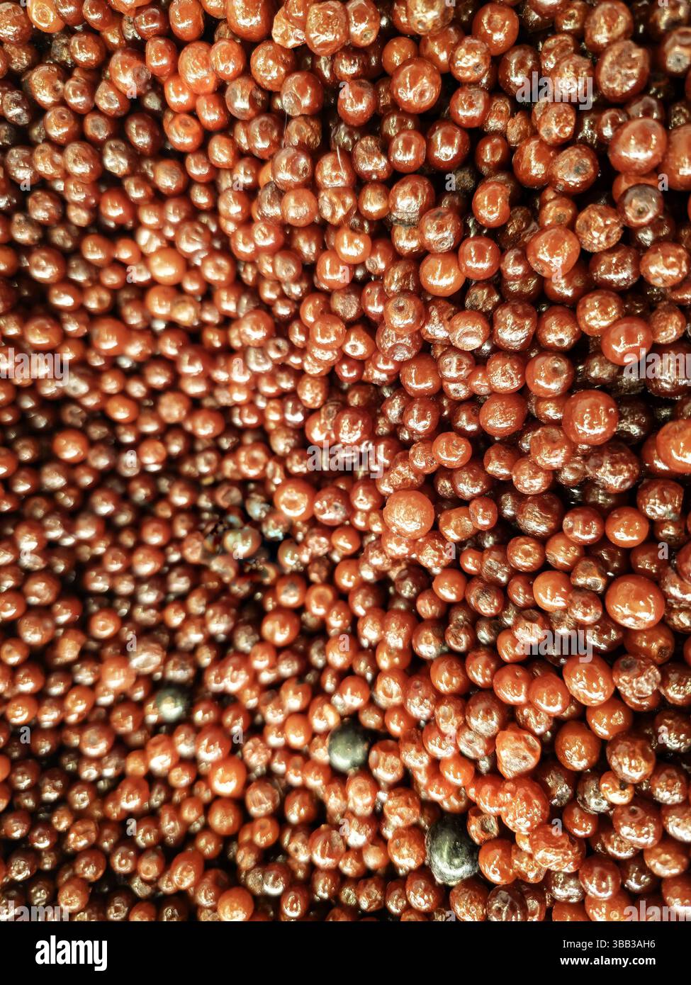 Frozen blueberries cranberries in hi-res stock photography and images ...