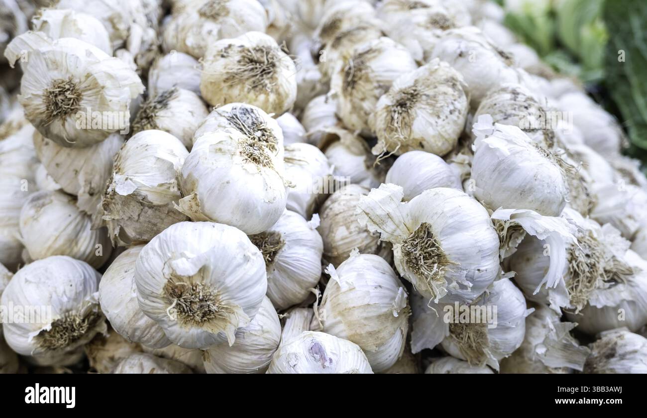 Detail of bunches of dried garlic, healthy condiment Stock Photo - Alamy