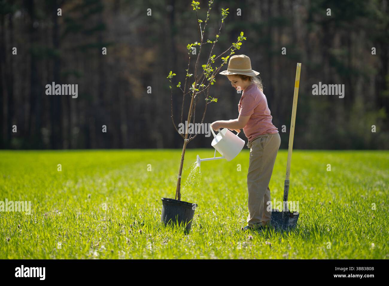 Child planting tree in spring field. Planting with watering can and ...